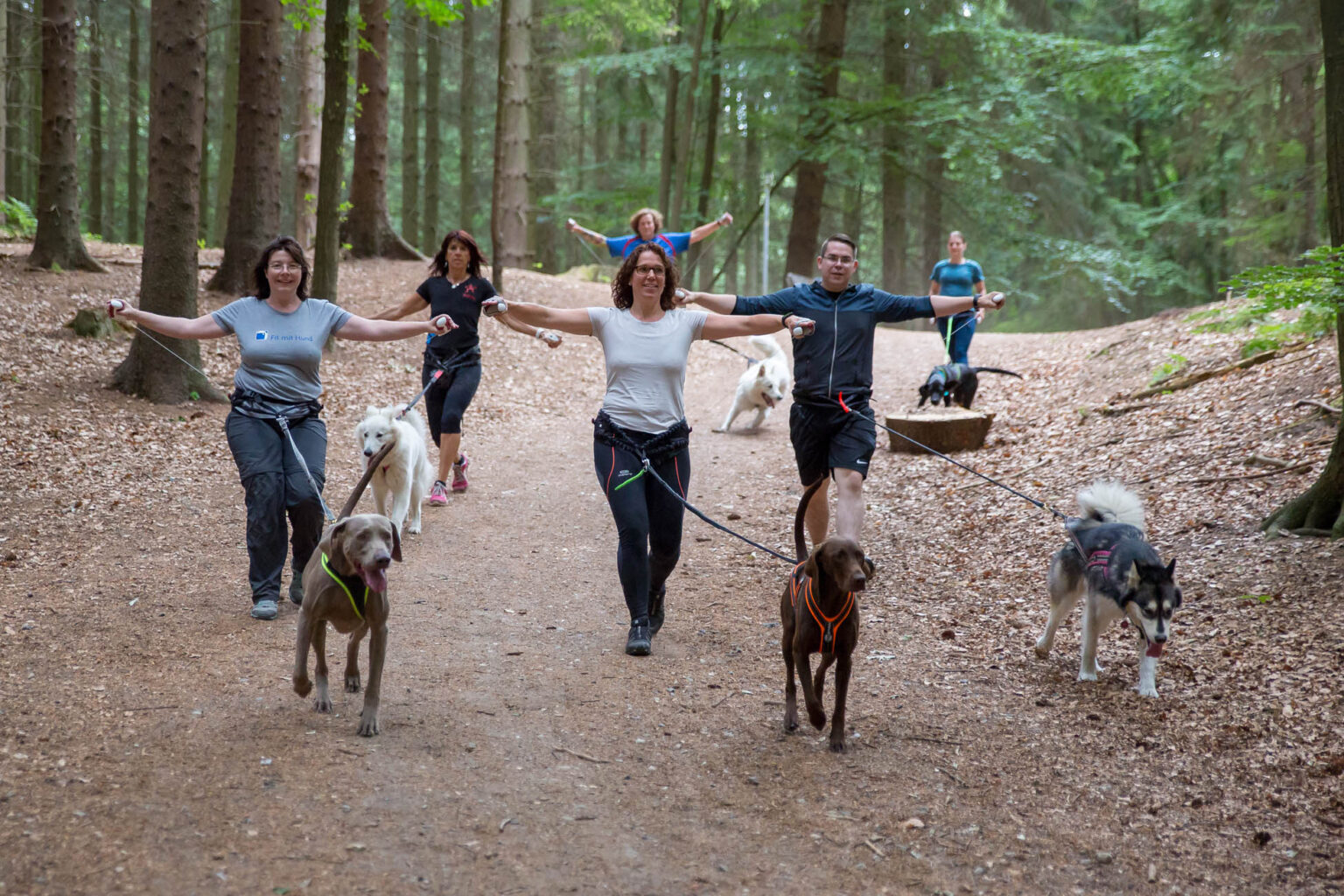 10 Tipps für einen entspannten Hunde-Spaziergang - Fit mit Hund